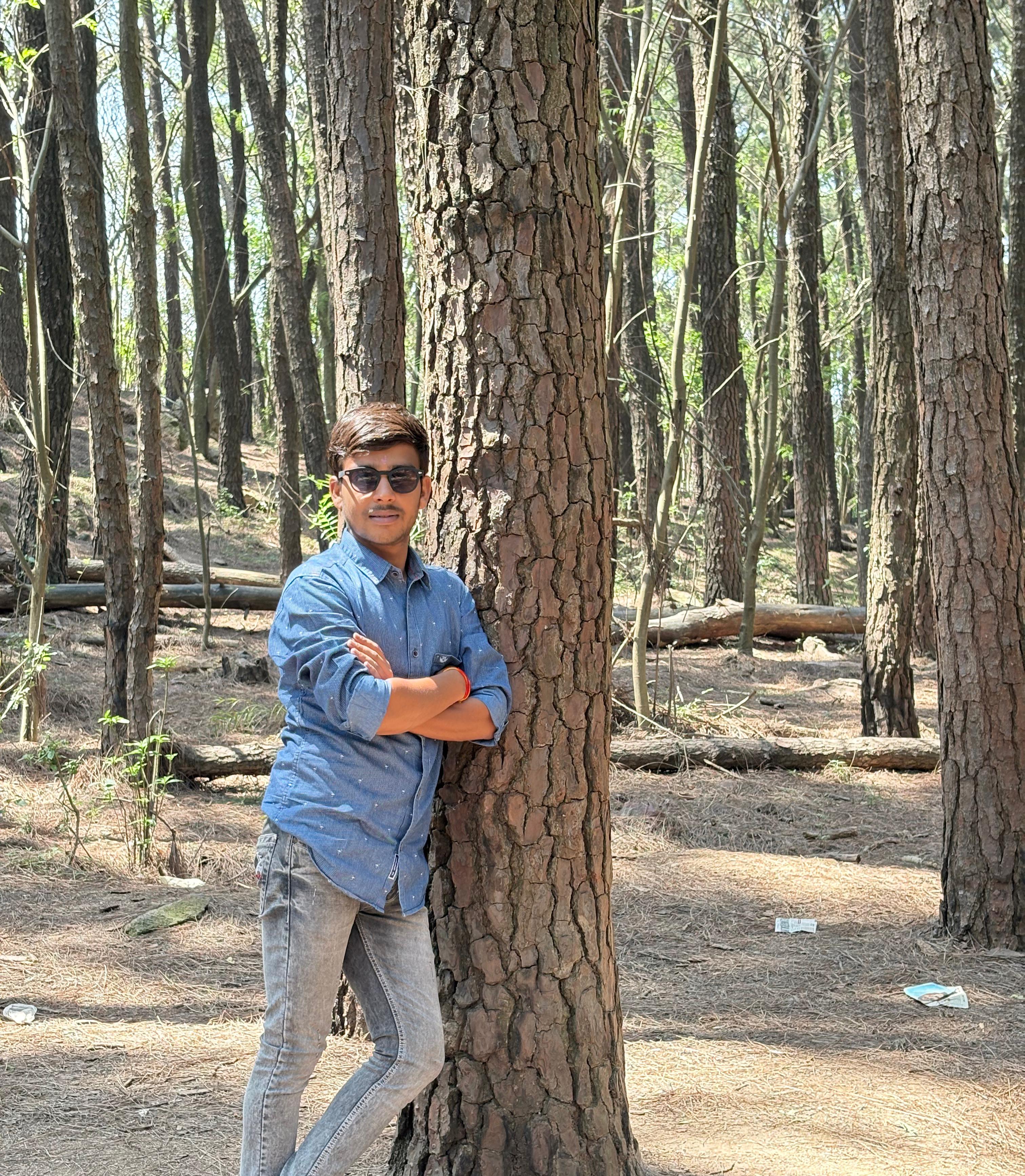 Rishabh Harode - Portfolio